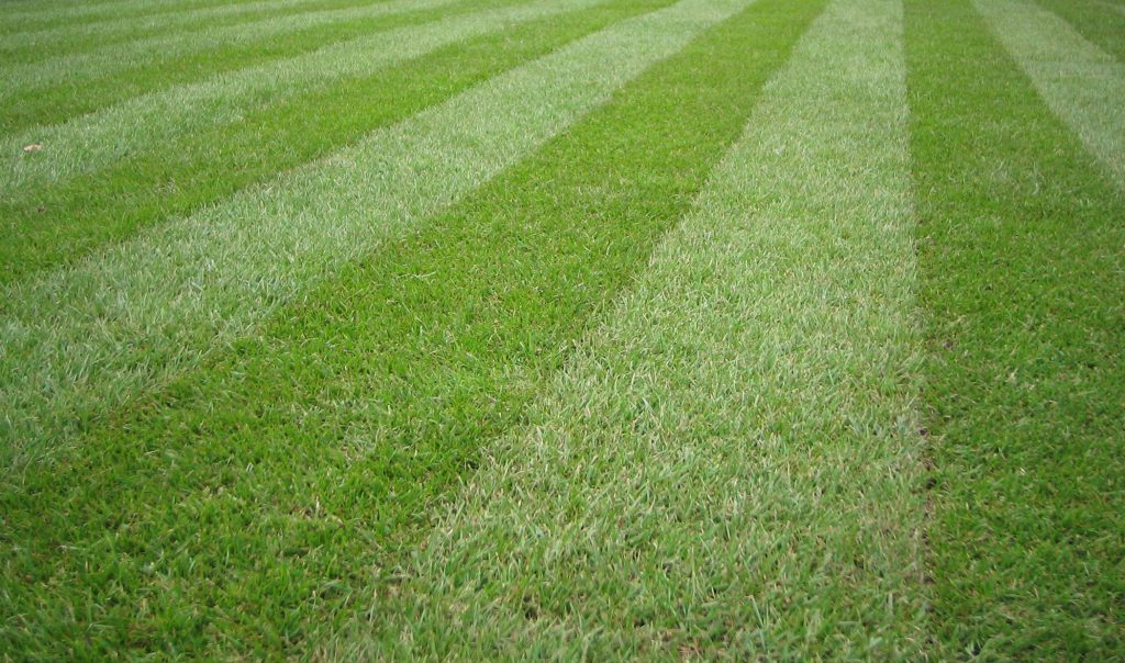 Grass Cutting - Wrights Fencing and Landscaping